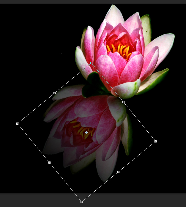 How To Create Stunning Reflections In Photoshop Photoshop CS6 Tutorials